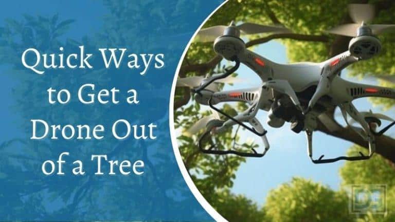 8 Quick Ways To Get A Drone Out Of A Tree - DroneGuru